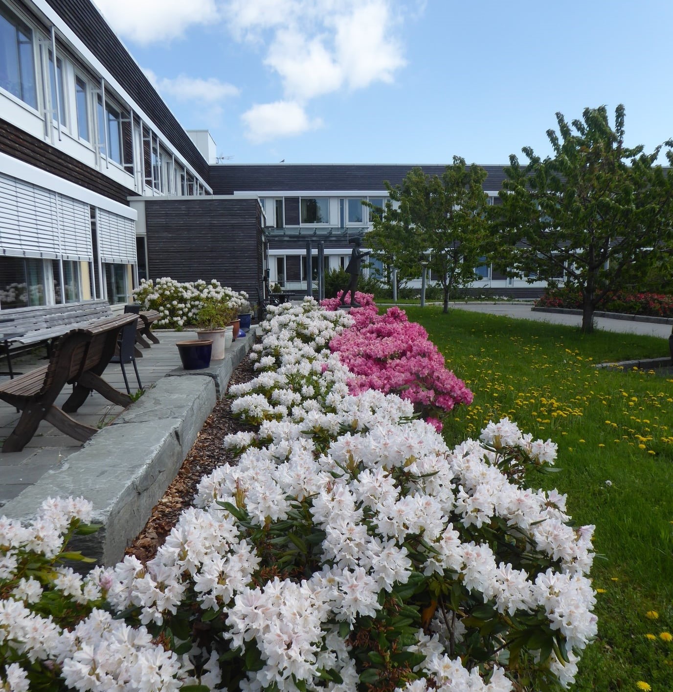 Beboerkontakt - Helt Med